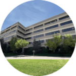 Wheeler Bio - Cell Line Development & Biologics CDMO - Accelerating ...