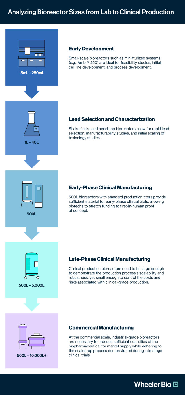 Analyzing Bioreactor Sizes from Lab to Clinical Production - Wheeler Bio