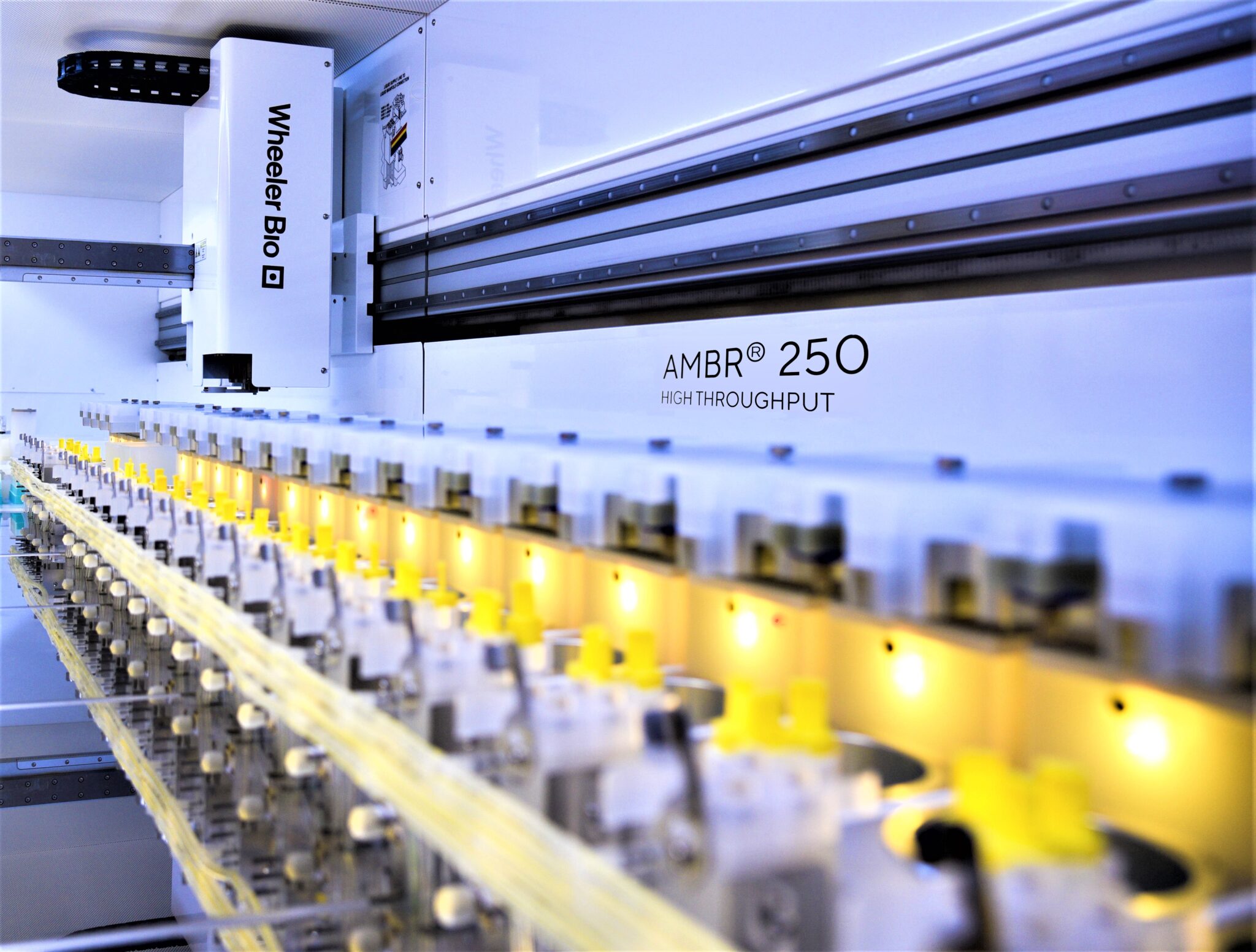 Media & Events - Wheeler Bio